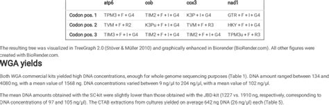 Iqtree Substitution Models Selected For Each Third Position Codon Per