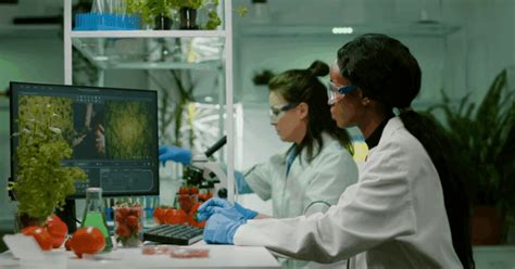 What Is An Ms In Bioinformatics In Usa 2025 Ambitio