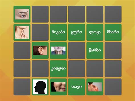 სხეულის ნაწილები Matching Pairs