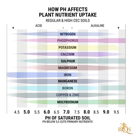 Understanding pH and How It Affects Cannabis Plants