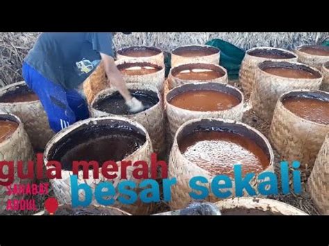 Pembuatan Gula Merah Tebu YouTube