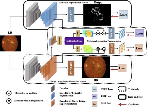 Figure 2 From Hard Exudate Segmentation Supplemented By Super Resolution With Multi Scale
