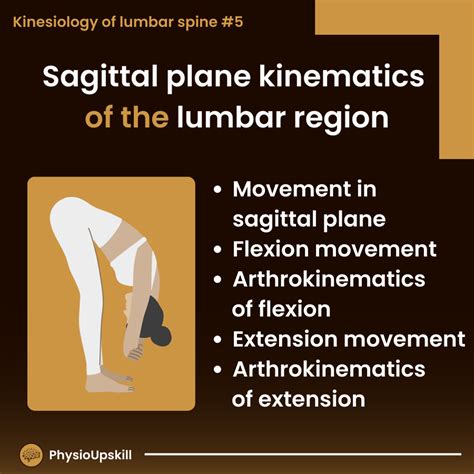 Episode49 Kinesiology Of Lumbar Spine 5 Physioupskill