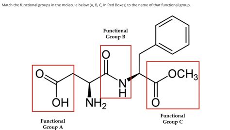 Solved Match The Functional Groups In The Molecule Below A