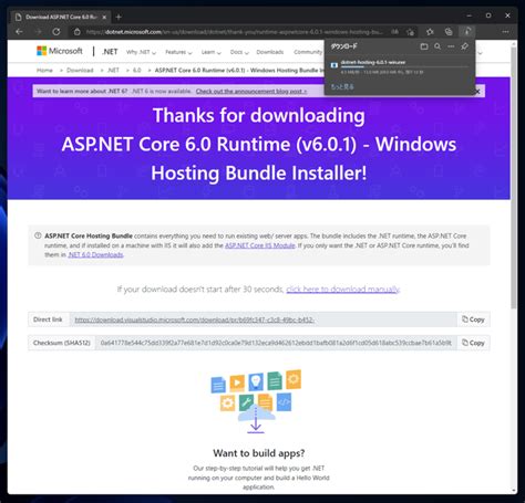 Aspnet Core 6 Windows Hosting Bundleをインストールする Iis Internet Information Service Tips Ipentec