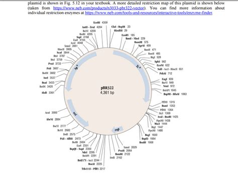 Solved Plasmid Is Shown In Fig 5 12 In Your Textbook A