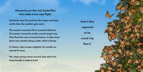 Getting To Know Marta Magellan Beep And Bob By Jonathan Roth