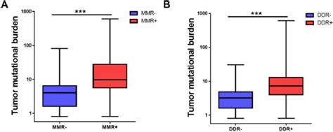 Mmr And Ddr Were Associated With Tumor Mutational Burden A