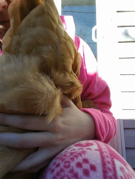 You Lied To Us On Tumblr