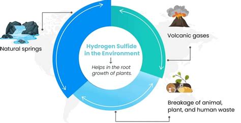 What Is Hydrogen Sulfide H2s Sources Effects Measures