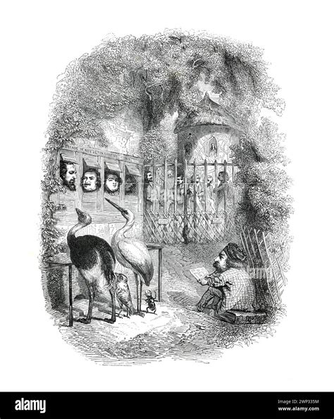 Anthropomorphic Humanized Animals Humanized Birdsbird Watching Humans