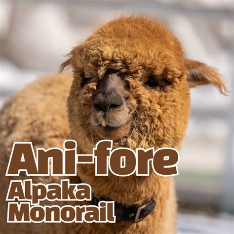 Alpaka Farm With Monorail Travelpeak