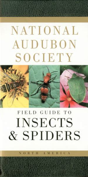 National Audubon Society Field Guide To Insects And Spiders