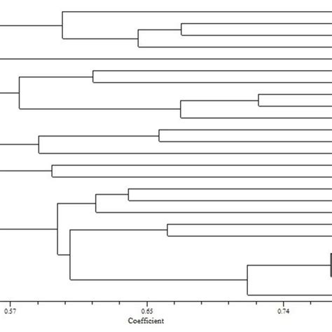 Dendrogram Of Cluster Analysis For Z Multiflora Accessions Using Issr