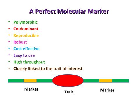 Molecular Markers Their Application In Crop Improvement Ppt Genetics Science