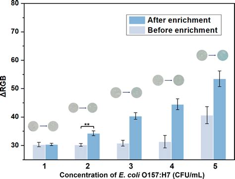 Rapid And Ultrasensitive Colorimetric Biosensors For Onsite Detection Of Escherichia Coli O157