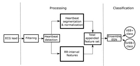 Figure 1 From A Fast Machine Learning Model For Ecg Based Heartbeat