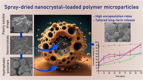 Full Article Spray Dried Nanocrystal Loaded Polymer Microparticles For