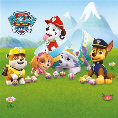 رایدار در حال بازی با سگهای نگهبان در پس زمینه سفید و لوگوی کارتون 1664428