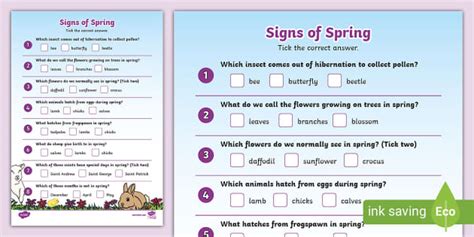 Signs Of Spring Quiz Teacher Made Twinkl