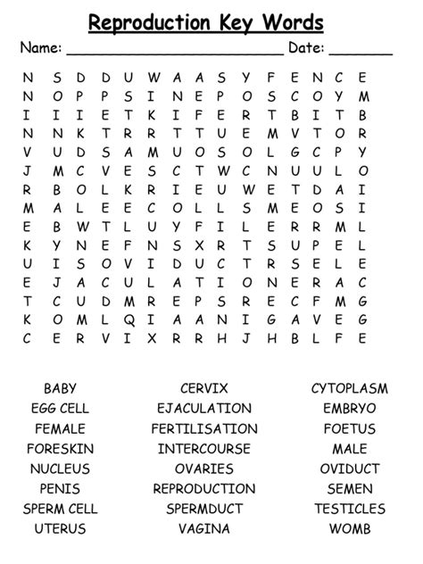 Reproduction Key Words Starter Pdf Human Reproduction Biological