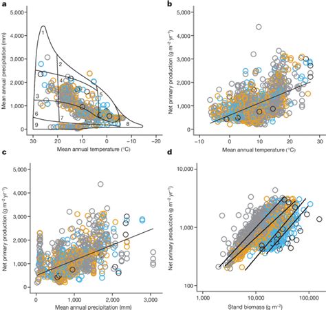 Global Variation In Annual Net Primary Production For 1247 Woody Download Scientific Diagram