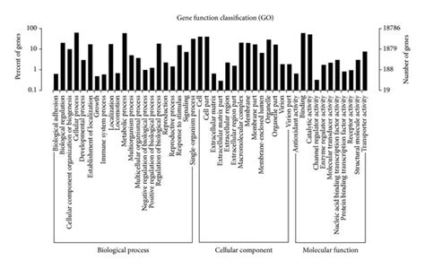 Histogram Of Gene Ontology Go Classification The Results Are