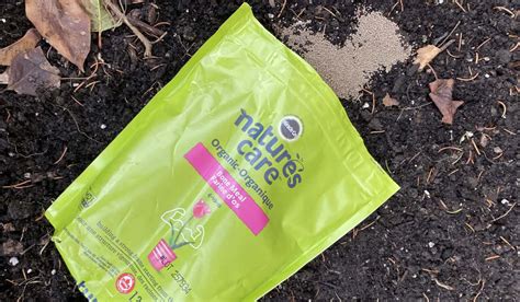 What Is Bone Meal Fertilizer Used For A Complete Guide