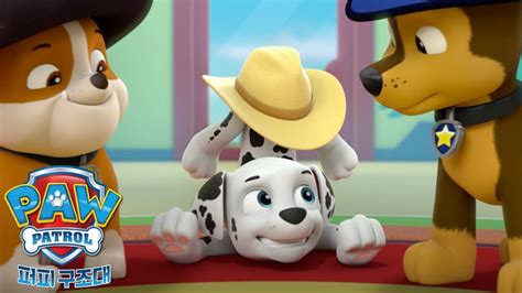 퍼피 구조대의 둥지 구조 작전 🐥 전체 장면 퍼피 구조대 Youtube