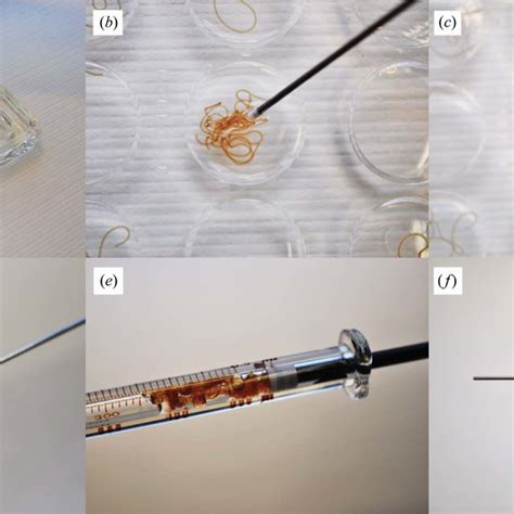 Pdf Well Based Crystallization Of Lipidic Cubic Phase Microcrystals For Serial X Ray