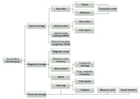Types Of Data Carrier Based Identifiers Download Scientific Diagram
