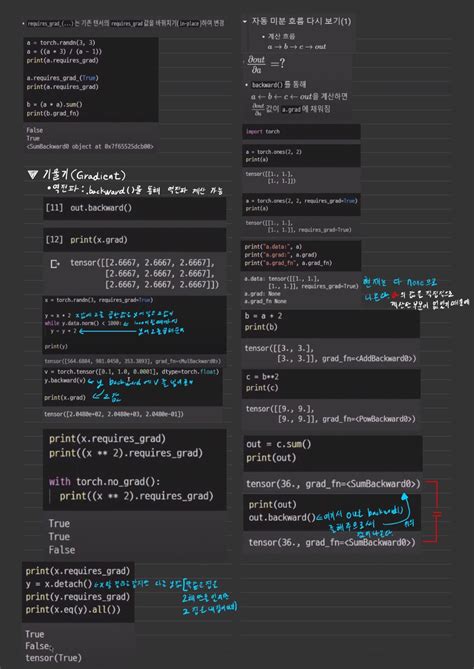 Pytorch 기본