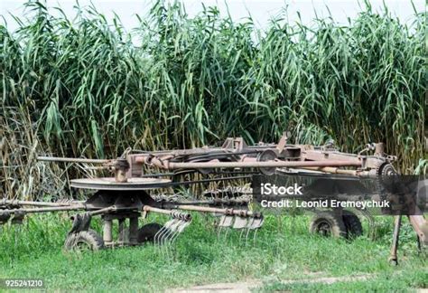 트랙터 트레일러에 Tedder 건초를 수집 하기 위한 기계입니다 Rotary International에 대한 스톡 사진 및 기타 이미지 Rotary