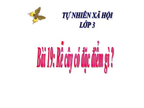 PPT - Bài giảng Tự nhiên xã hội 3 - Bài 19: Rễ cây có đặc điểm gì? PowerPoint Presentation - ID ...