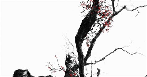 수묵화야 사진이야 한라산 붉은 겨우살이와 사랑에 빠진 남자