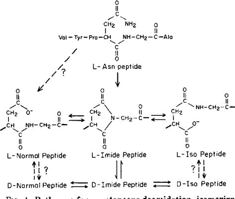 Aspartic Acid Proteases Semantic Scholar
