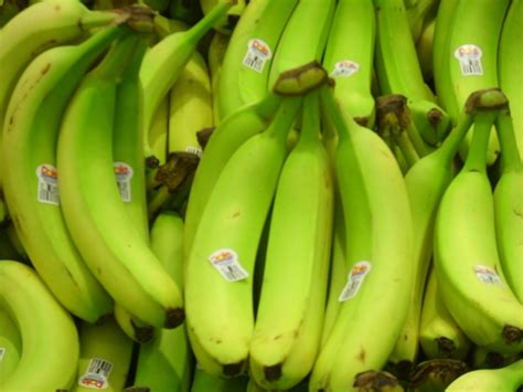 Fruits Detection Object Detection Dataset And Pre Trained Model By Public Plan