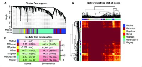 Identification And Characterization Of Endometriosis Associated Download Scientific Diagram