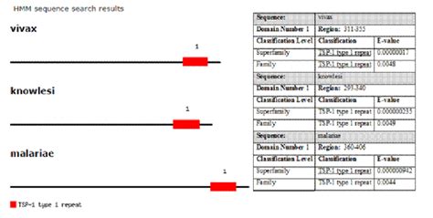 Hmm Based Sequences Search Result For Csp Domain Annotation Download Scientific Diagram