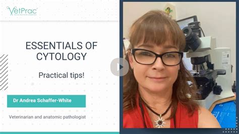 Practical Cytology Tips