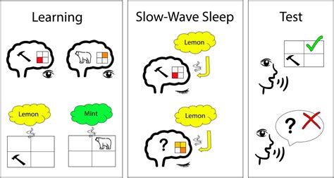 Memory Formation Lets Replay Elife