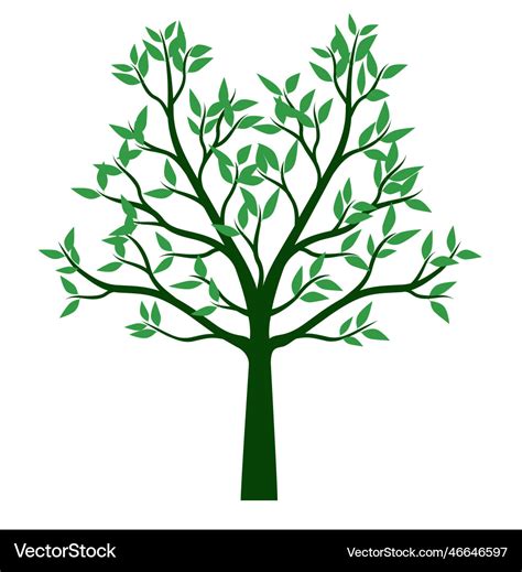 Green Tree With Leaves Outline Royalty Free Vector Image