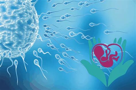 A Comprehensive Guide To Your Menstrual Cycle Your Trusted