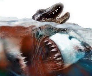 Galeria De Fotos Del Megalodon Tiburonpedia