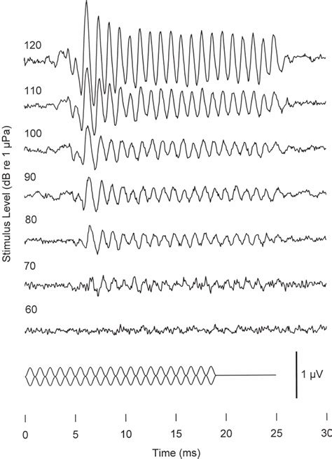Examples Of Efr To A Sinusoidally Amplitude Modulated Carrier Of 64 Download Scientific Diagram