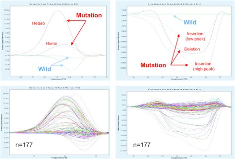 Results Of Simultaneous Screening Test For Jak2 And Calr Mutations In Download Scientific