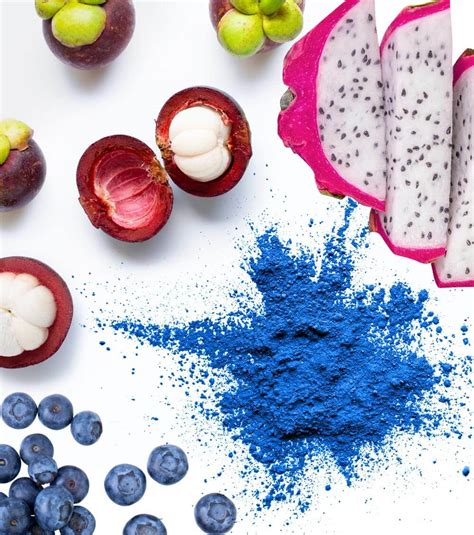 Polyphenol Blend Gundry Md®