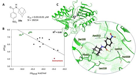 Molecular Docking Results A Lead Compound B Correlation Between