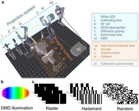 Compressive Sensing Hyperspectral Microscope Overview A Diagram Of Download Scientific