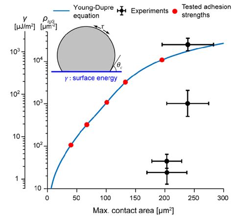 Relationship Between Ligand Density And Maximum Contact Area As Download Scientific Diagram